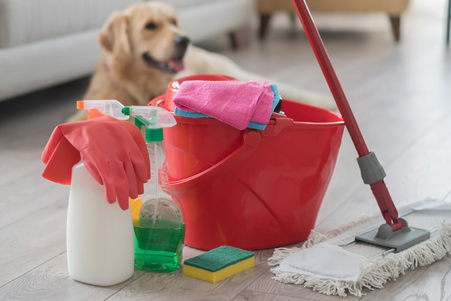 The most important Spring Cleaning points to focus on for best results.
